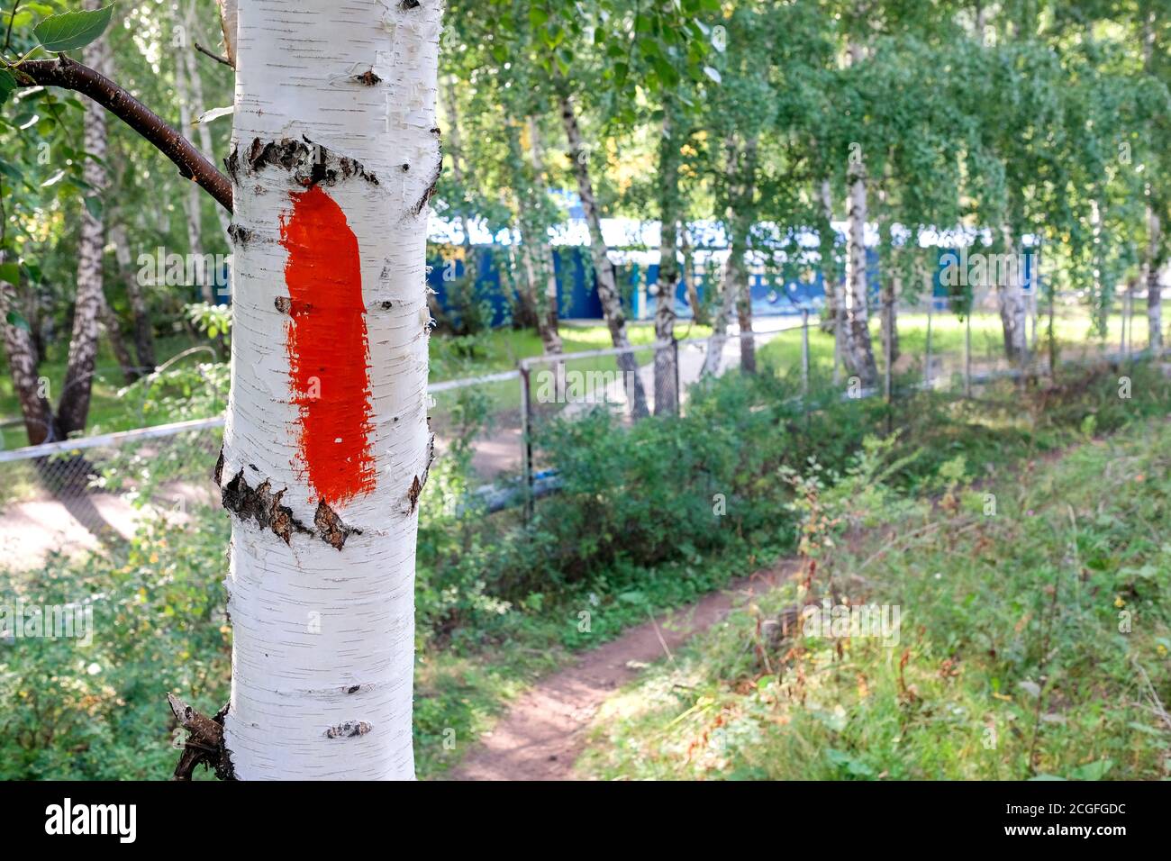 Red mark hi-res stock photography and images - Alamy