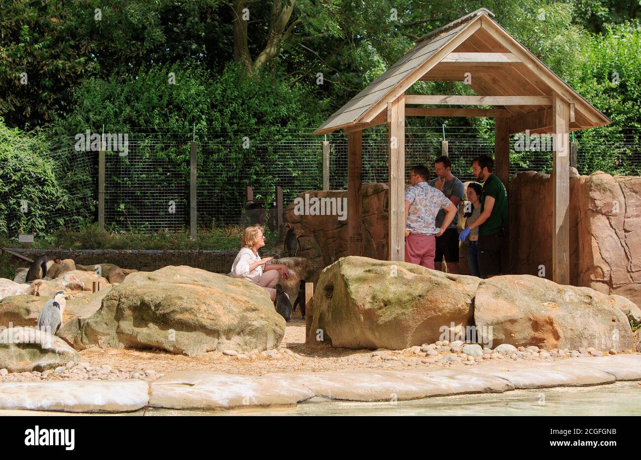 London zoo, London, UK, 2018. London zoo hold animal experiences where ...