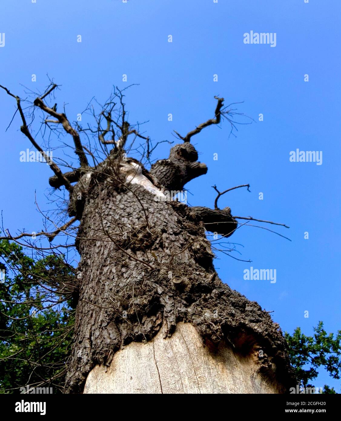 Burnt oak london hi-res stock photography and images - Alamy