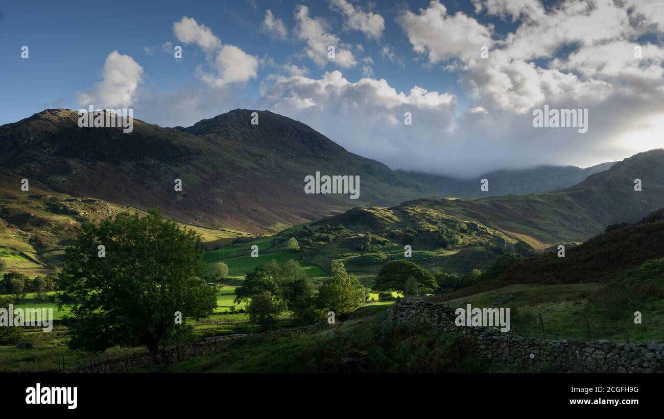 The Sun setting cast long shadows over Blea Marsh a small area of the ...