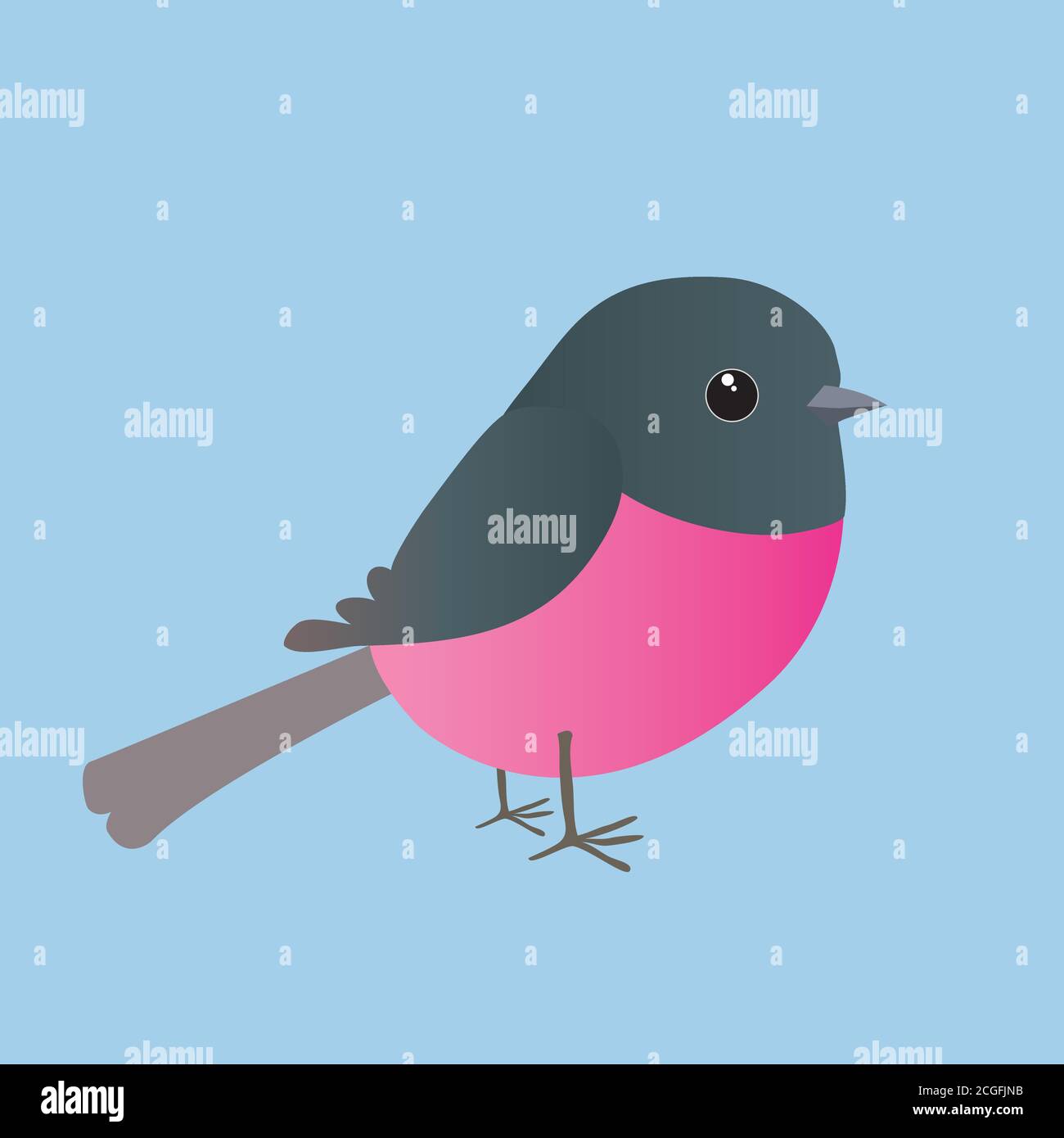 Australian garden with birds Stock Vector Images - Alamy