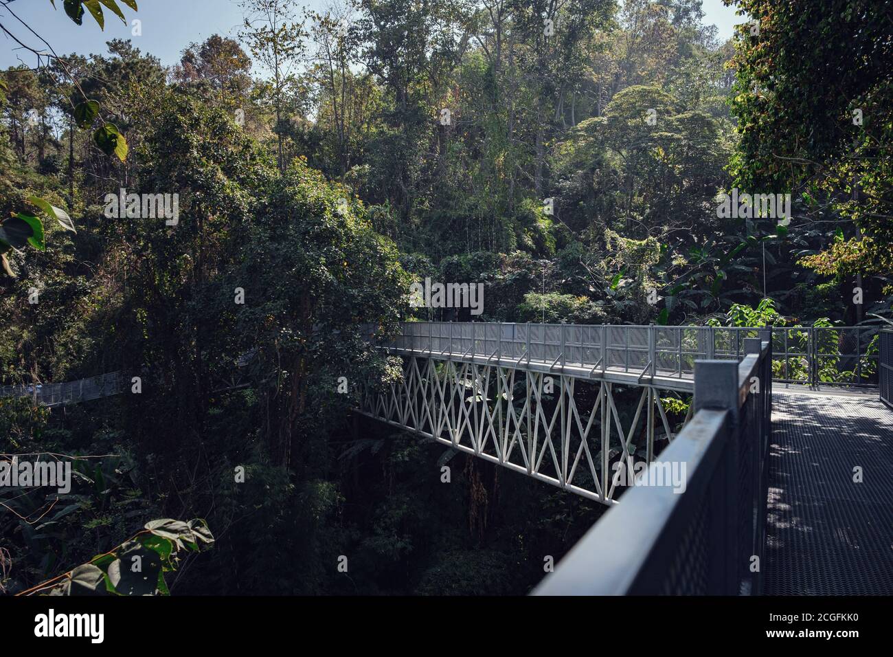 Elevated jungle forest Canopy Walkway in Mae Rim North Chiang Mai a ...