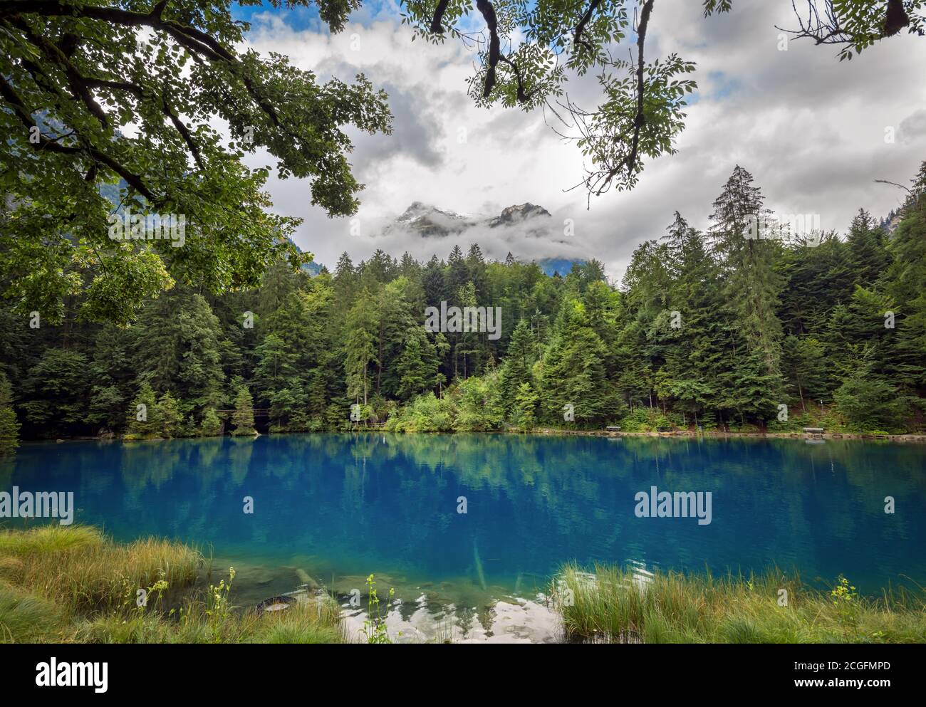 Blausee (Blue Lake) a small mountain lake in Kander Valley in Bernese ...