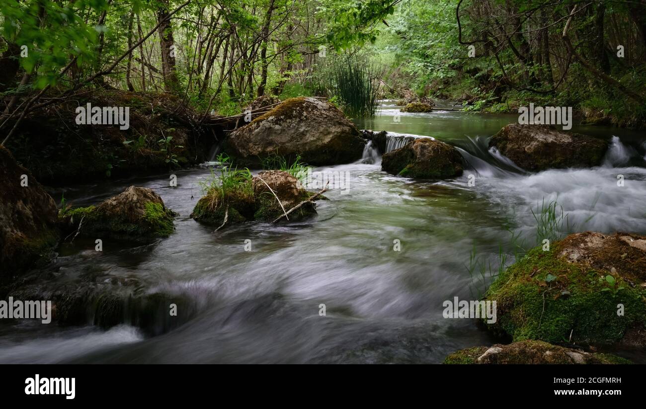 Full-flowing river in a sunny forest. Stream flowing over mossy rocks ...