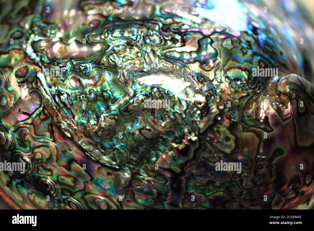 Shell inlay hi-res stock photography and images - Alamy