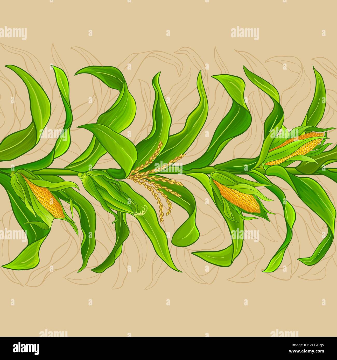 corn vector pattern Stock Vector Image & Art - Alamy