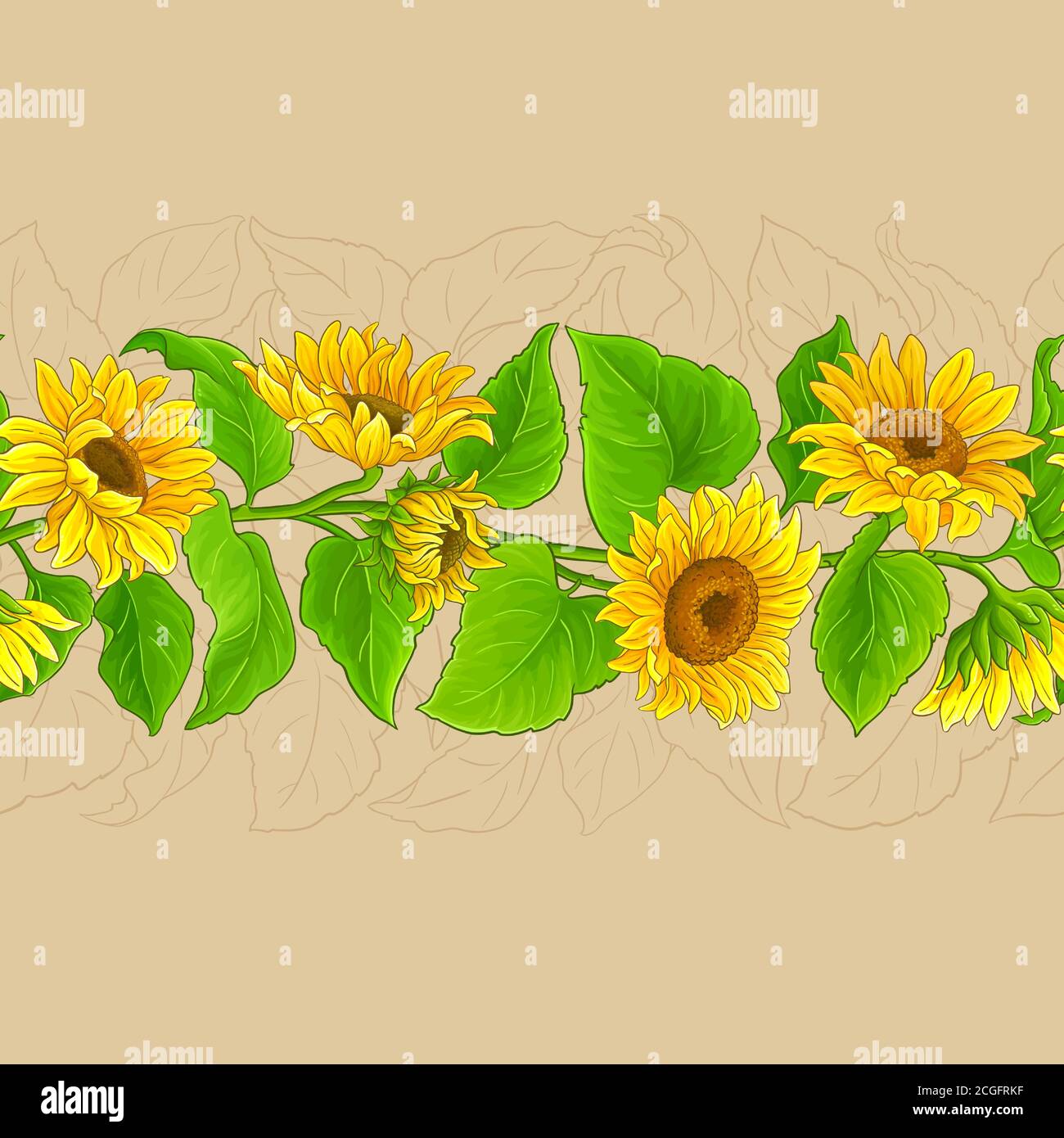 sunflower vector pattern Stock Vector Image & Art - Alamy