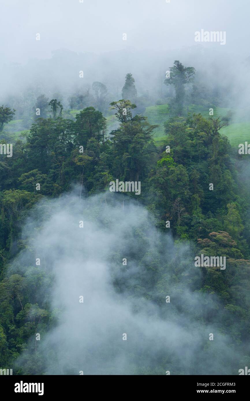 Alajuela Region, Costa Rica, Central America, America Stock Photo - Alamy