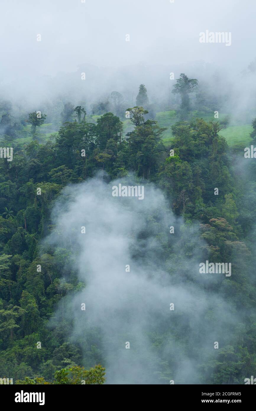 Alajuela Region, Costa Rica, Central America, America Stock Photo - Alamy