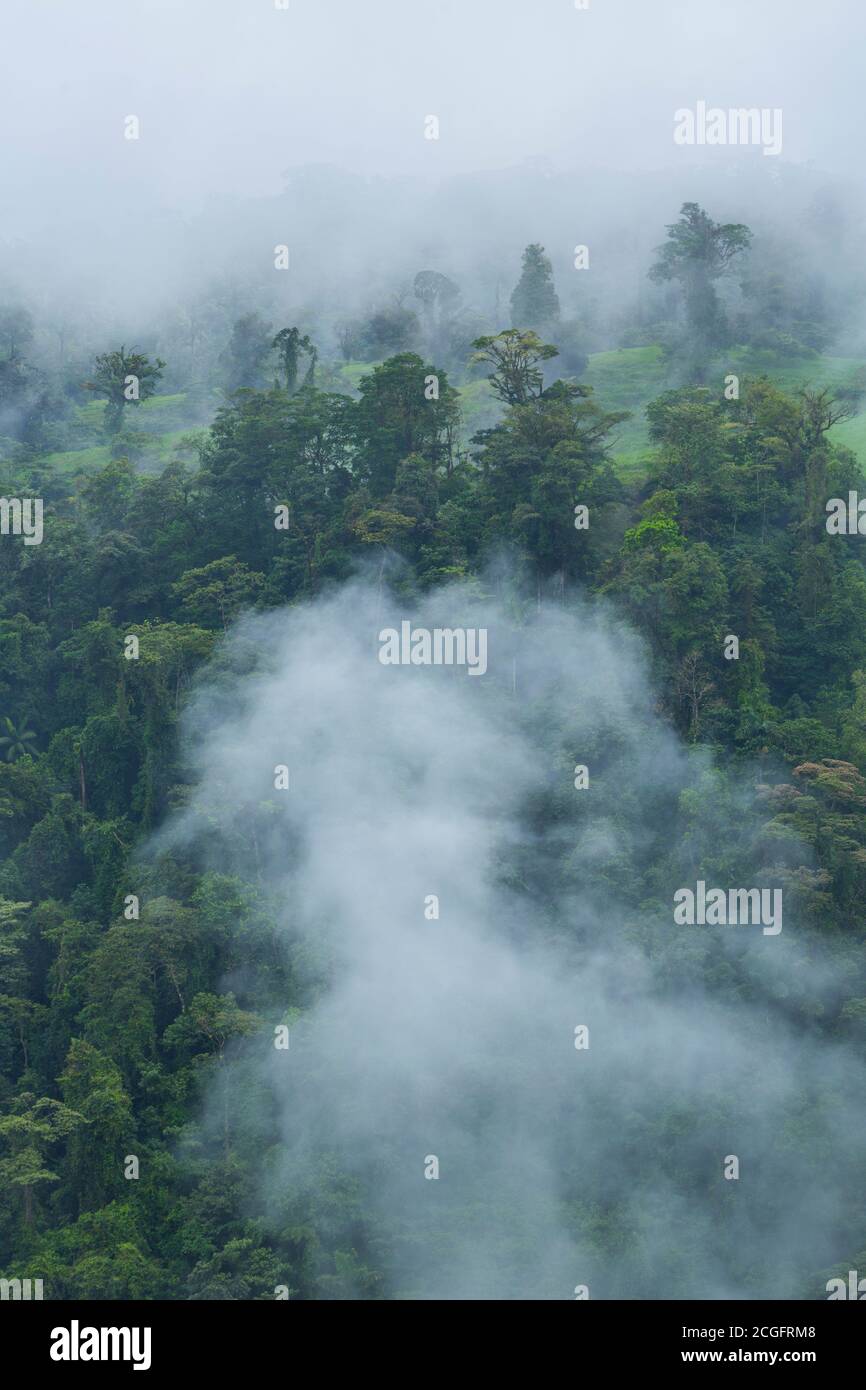 Alajuela region hi-res stock photography and images - Alamy