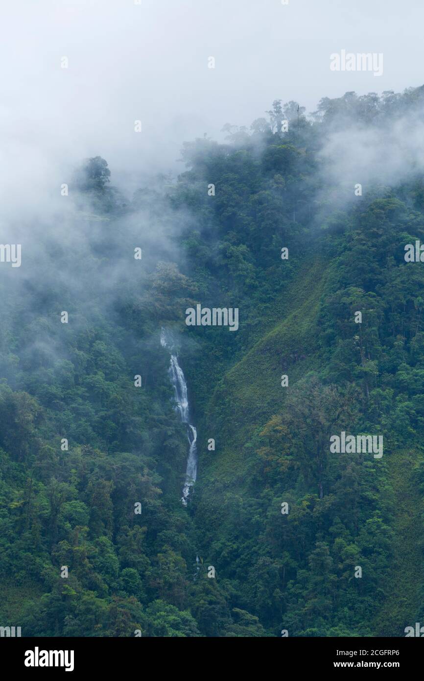 Alajuela Region, Costa Rica, Central America, America Stock Photo - Alamy