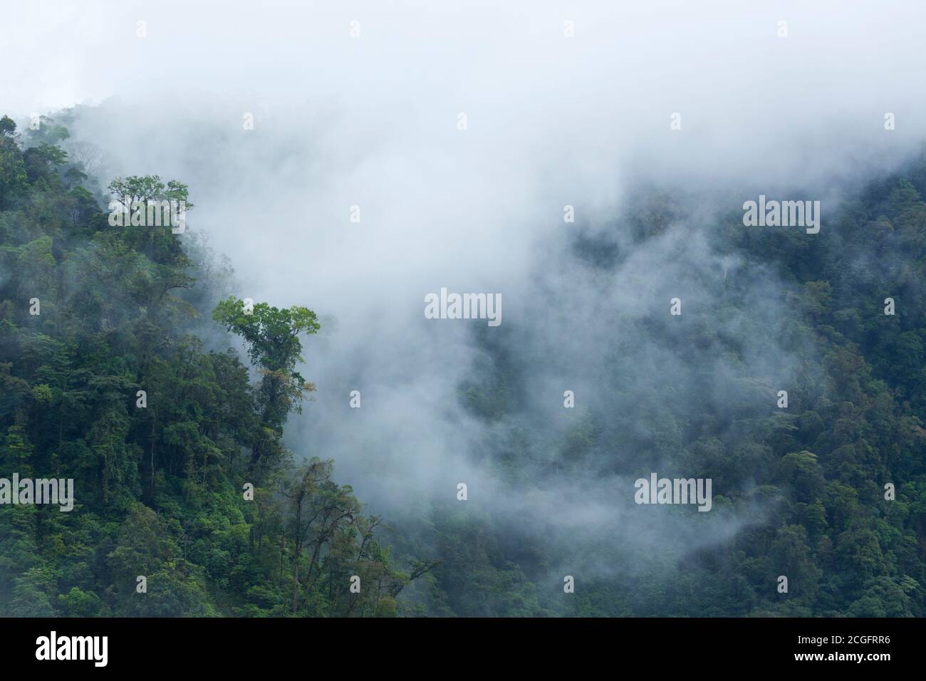 Alajuela Region, Costa Rica, Central America, America Stock Photo - Alamy