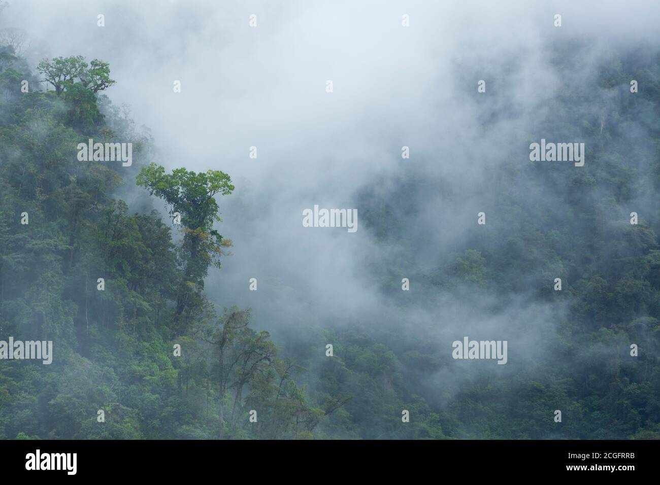 Alajuela Region, Costa Rica, Central America, America Stock Photo - Alamy