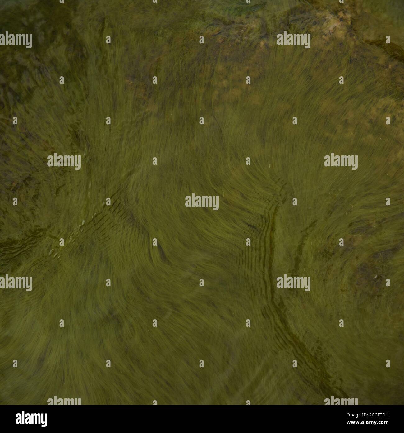 The texture of tina underwater. The glossy surface is green Stock Photo ...