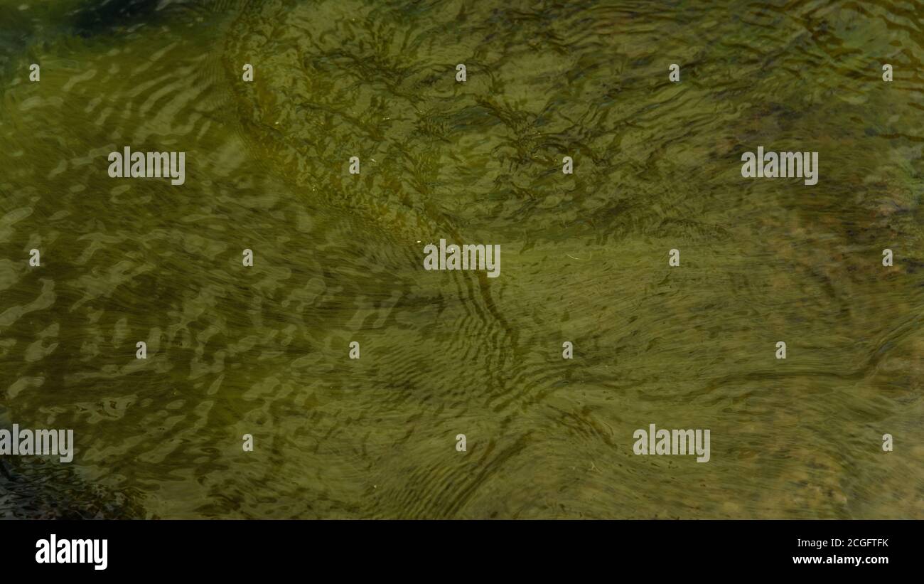 The texture of tina underwater. The glossy surface is green Stock Photo ...