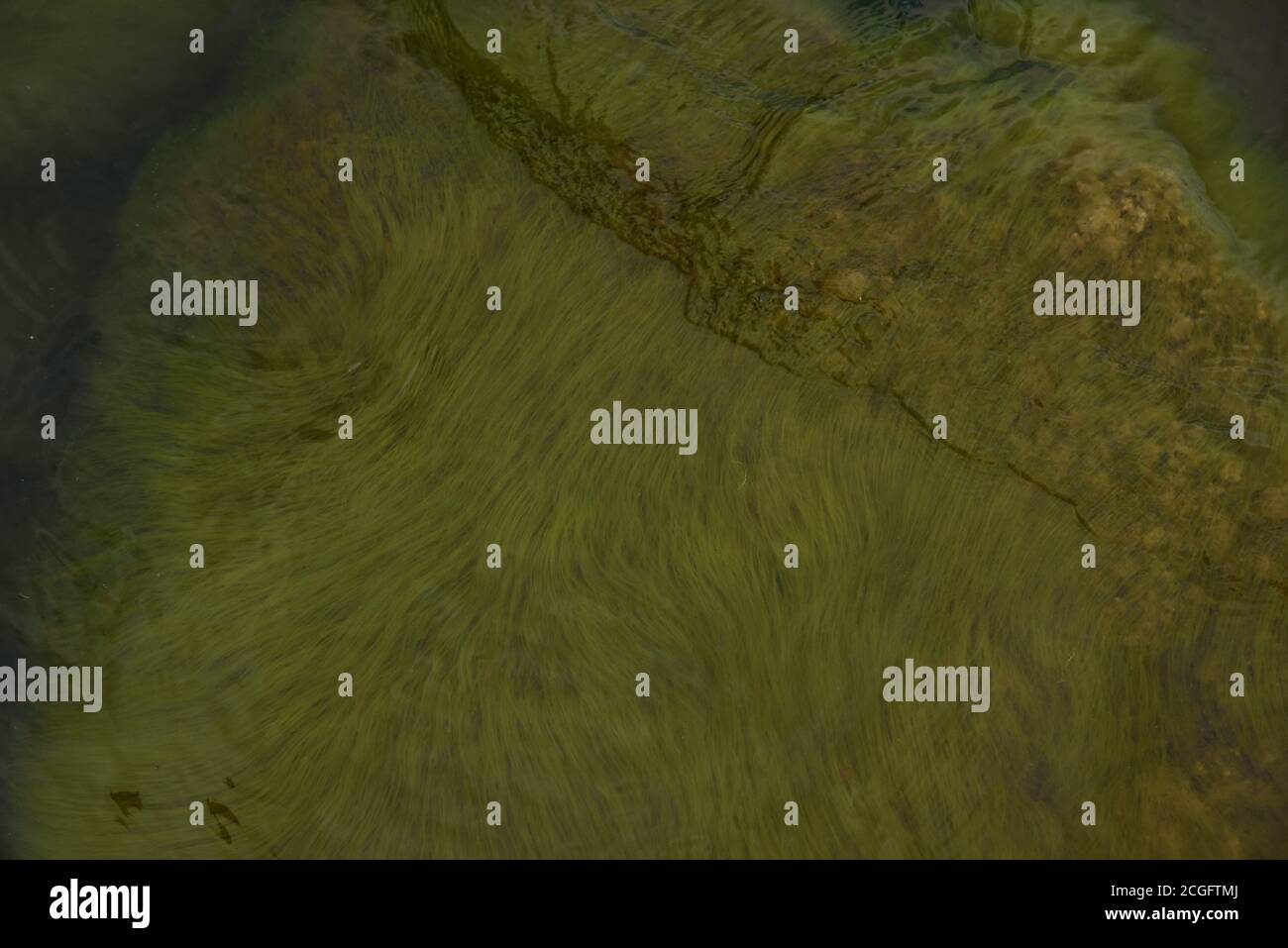 The texture of tina underwater. The glossy surface is green Stock Photo ...