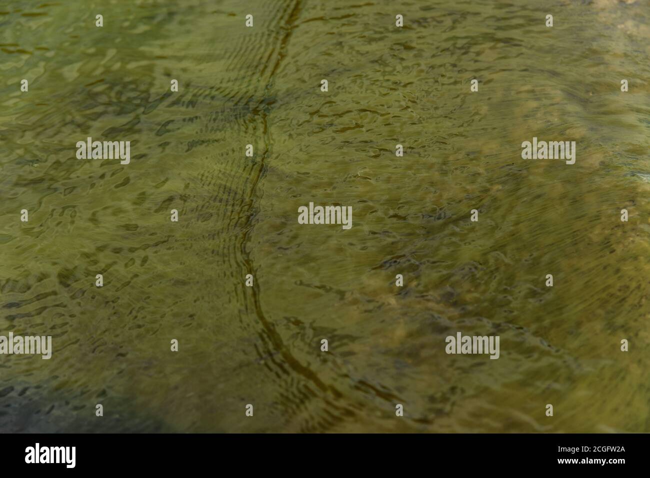 The texture of tina underwater. The glossy surface is green Stock Photo ...