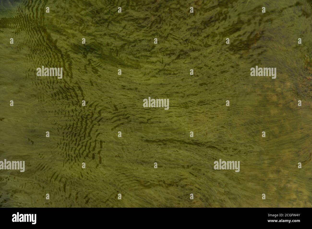 The texture of tina underwater. The glossy surface is green Stock Photo ...