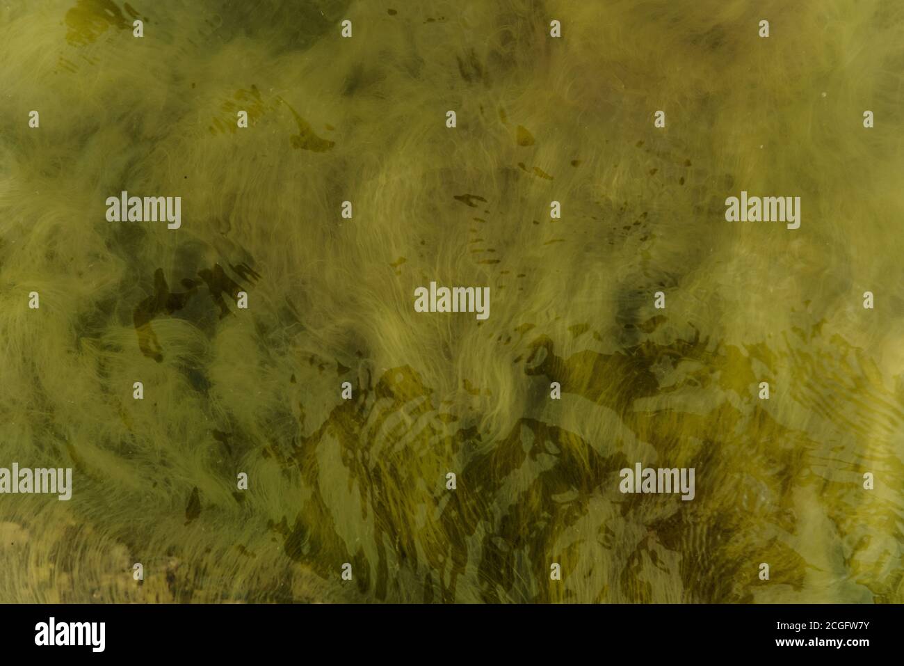 The texture of tina underwater. The glossy surface is green Stock Photo ...