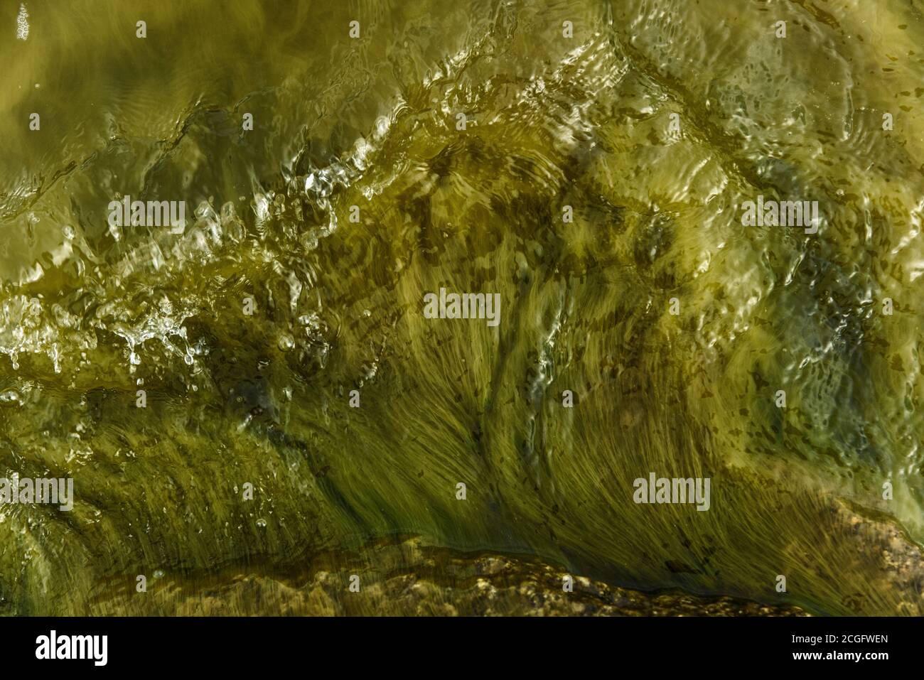 The texture of tina underwater. The glossy surface is green Stock Photo ...