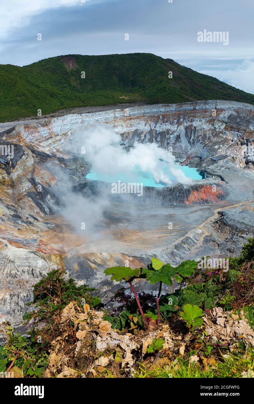 Poás Volcano National Park, Alajuela Region, Costa Rica, Central ...