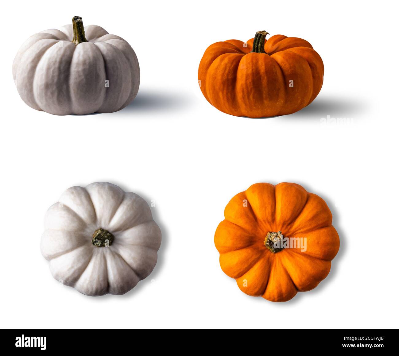 Whole bright orange and white pumpkins with their shadows from above ...
