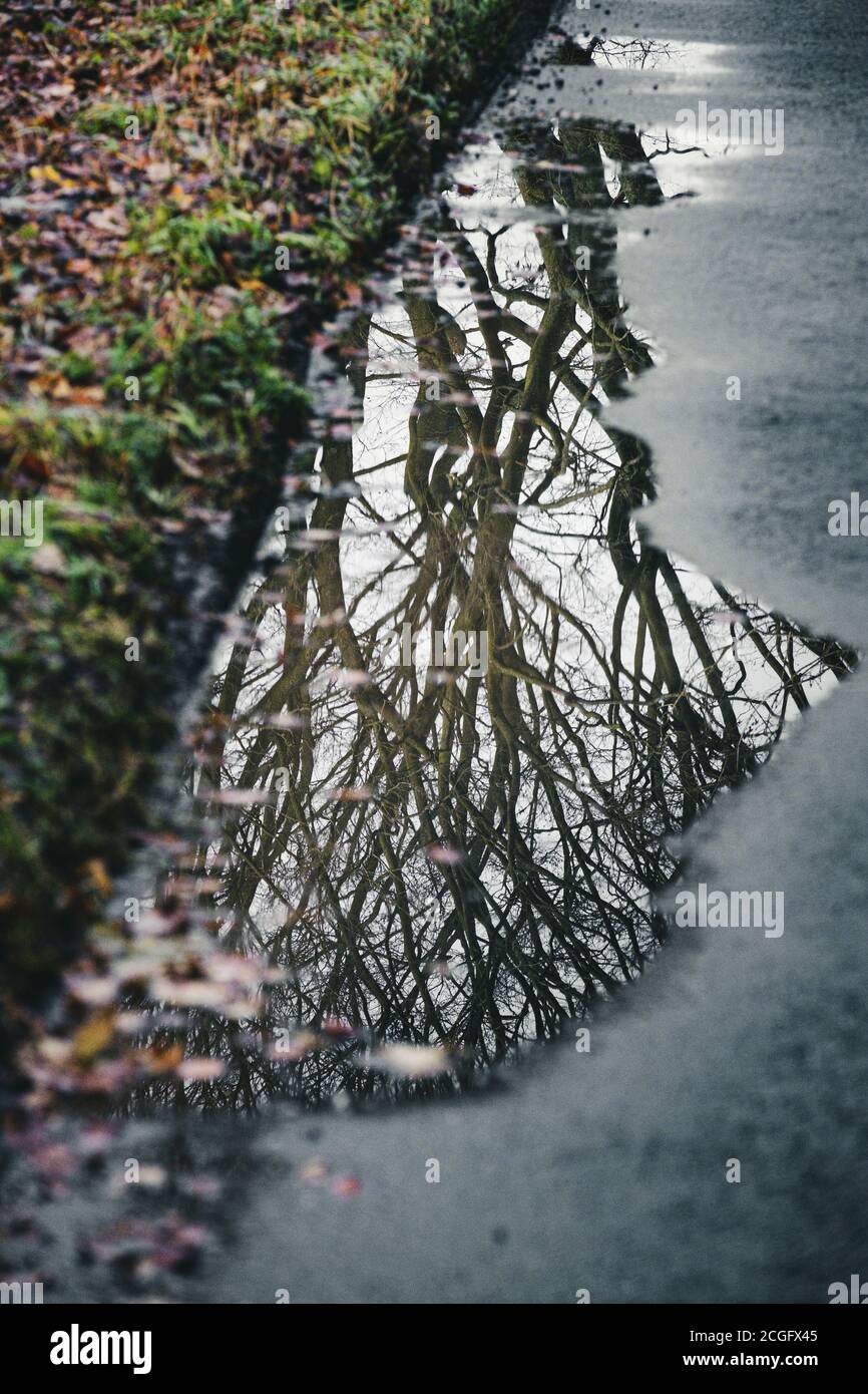 Puddle floor hi-res stock photography and images - Alamy