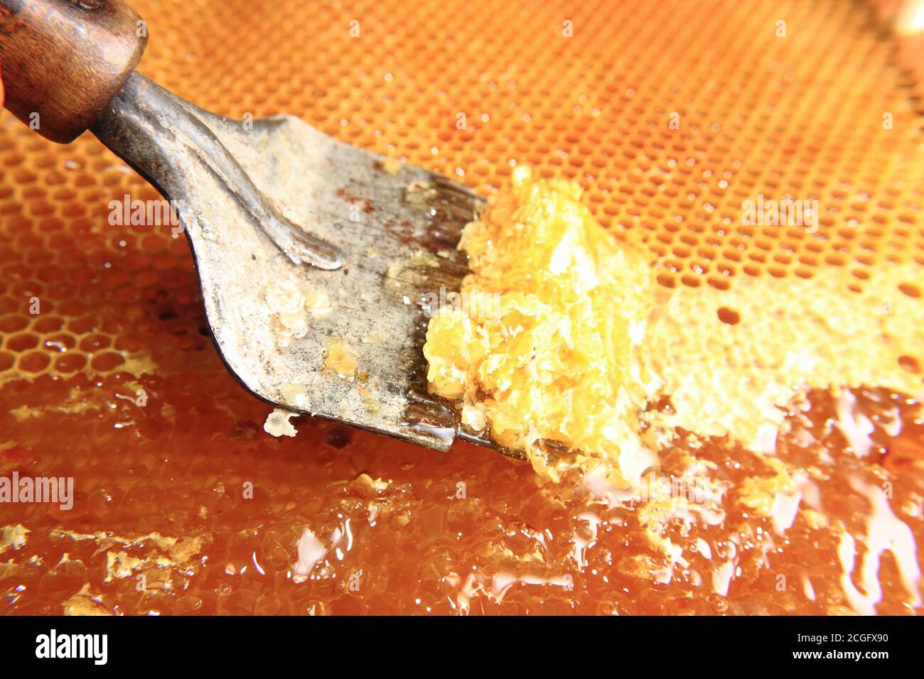 removing bee wax from fresh honey background Stock Photo - Alamy