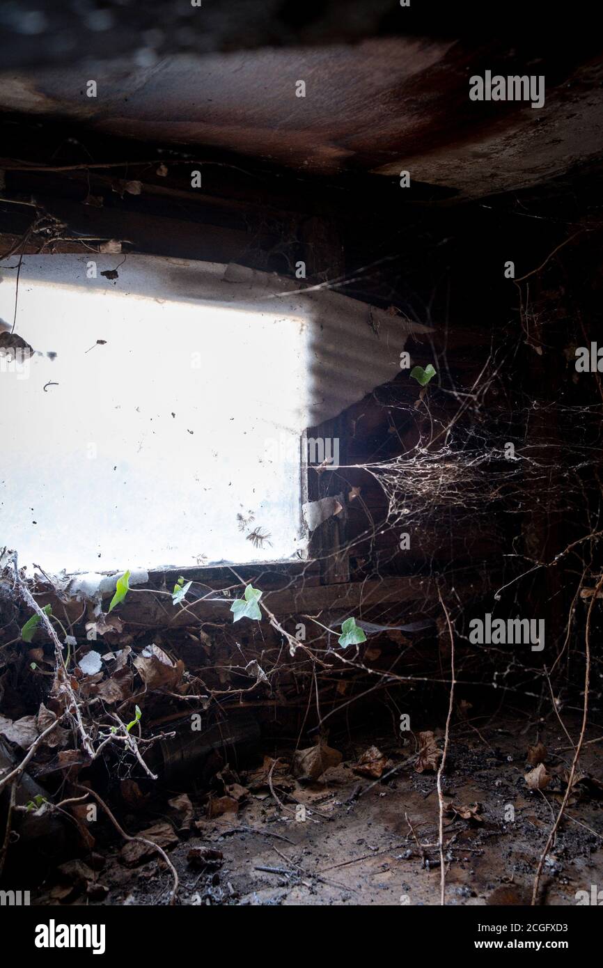 Looking out through an old broken window of a run down garden shed as ...