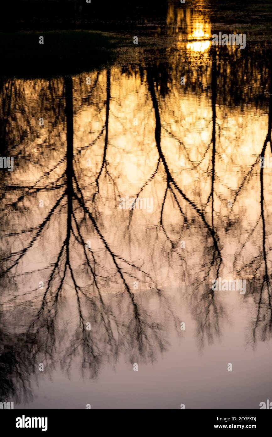 Sunset reflected in a large puddle of water in a field during the ...