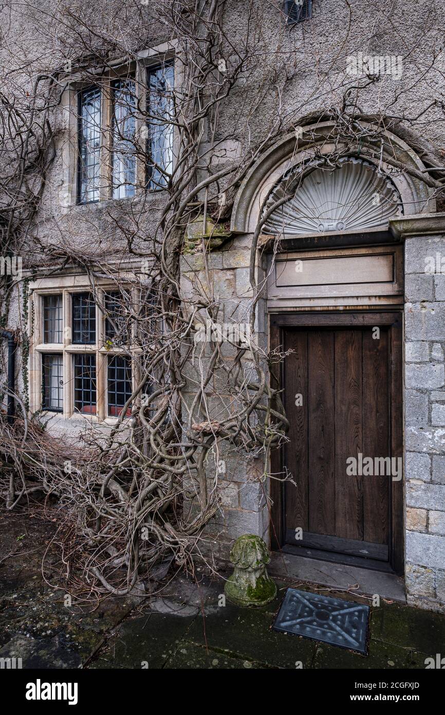 Leafless vine hi-res stock photography and images - Alamy