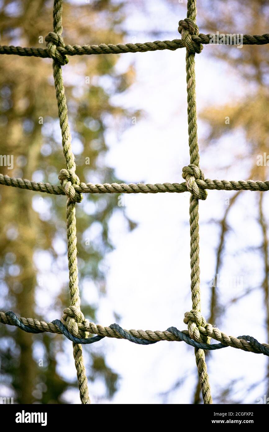 Hidden net hi-res stock photography and images - Alamy