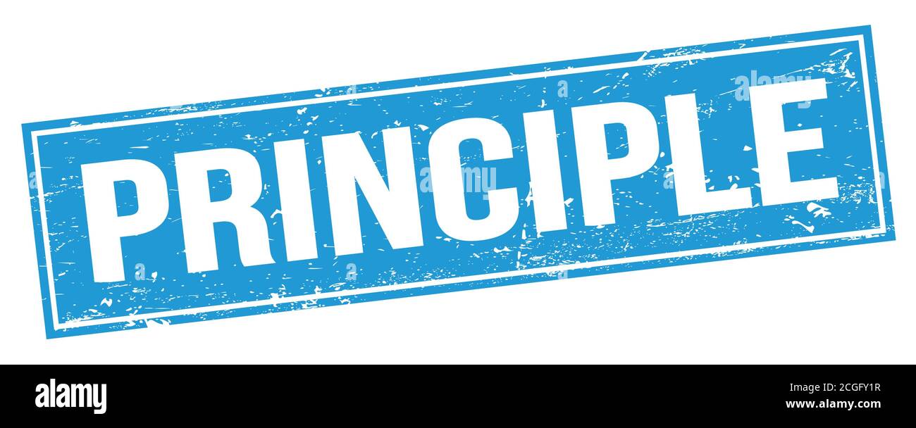 PRINCIPLE text on blue grungy rectangle stamp sign Stock Photo - Alamy