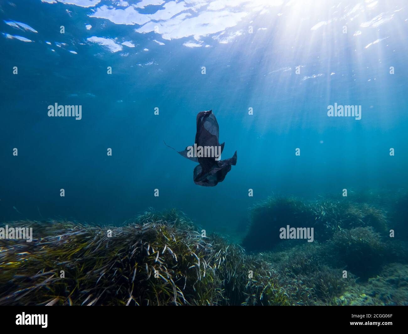 Underwater plastic pollution. Black plastic bag in the Mediterranean ...