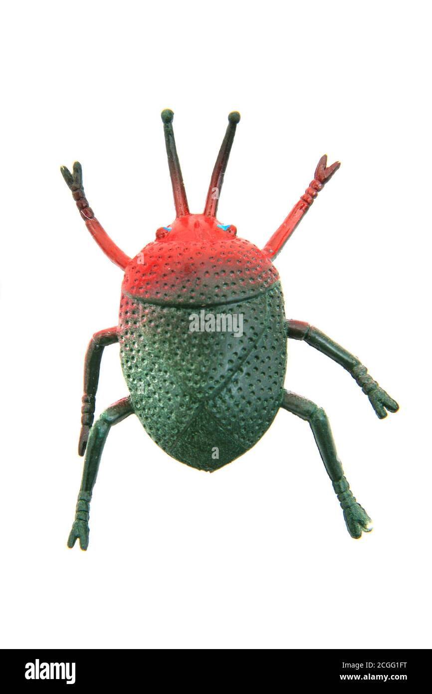 plastic beetle toy (bug) isolated on the white background Stock Photo ...
