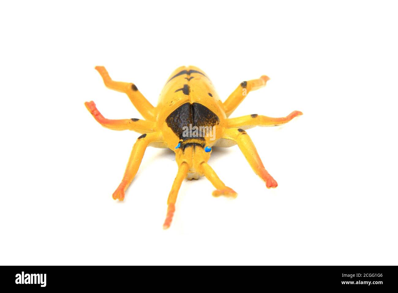 plastic beetle toy (bug) isolated on the white background Stock Photo ...