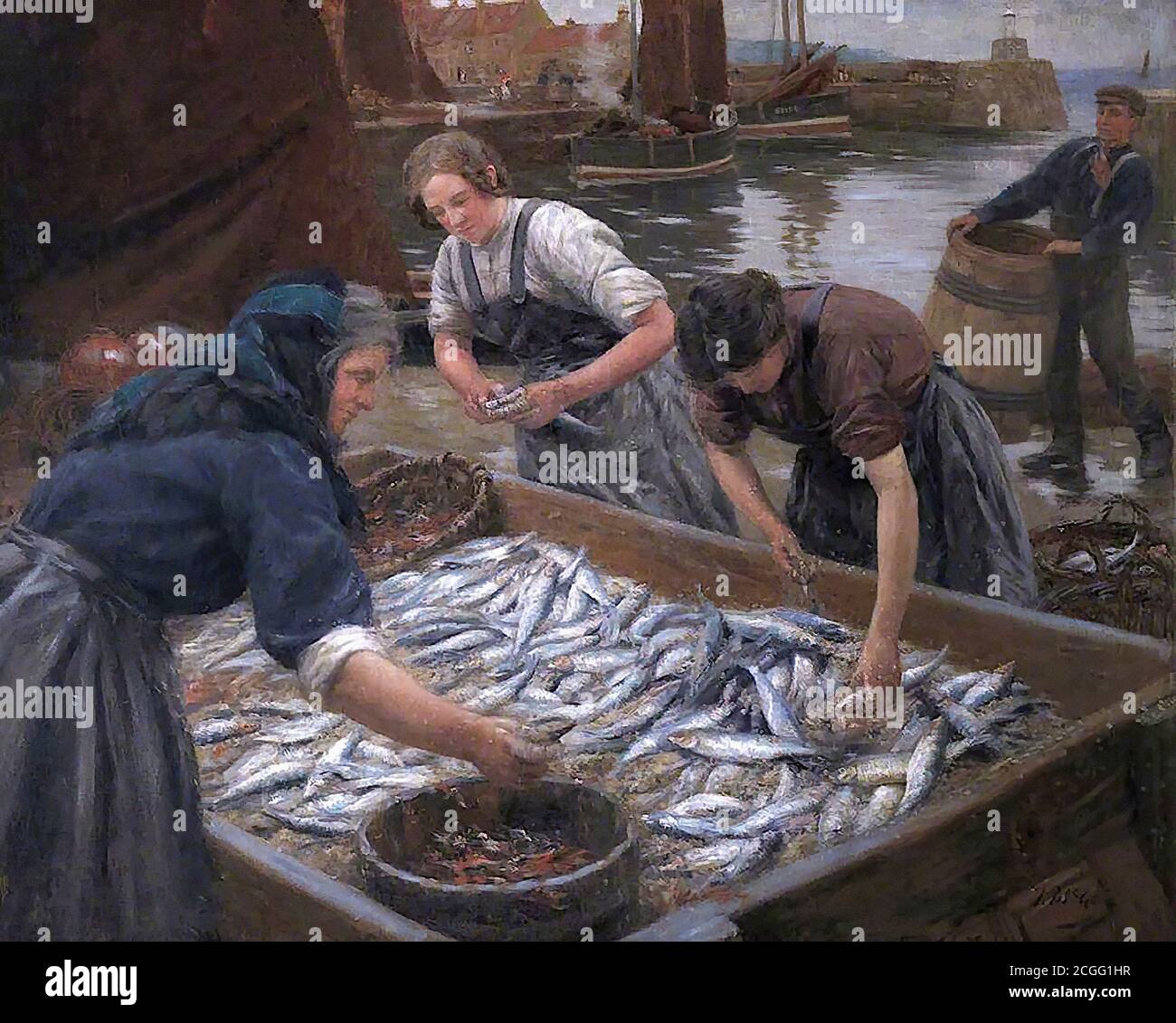 Gutting herring hi-res stock photography and images - Alamy