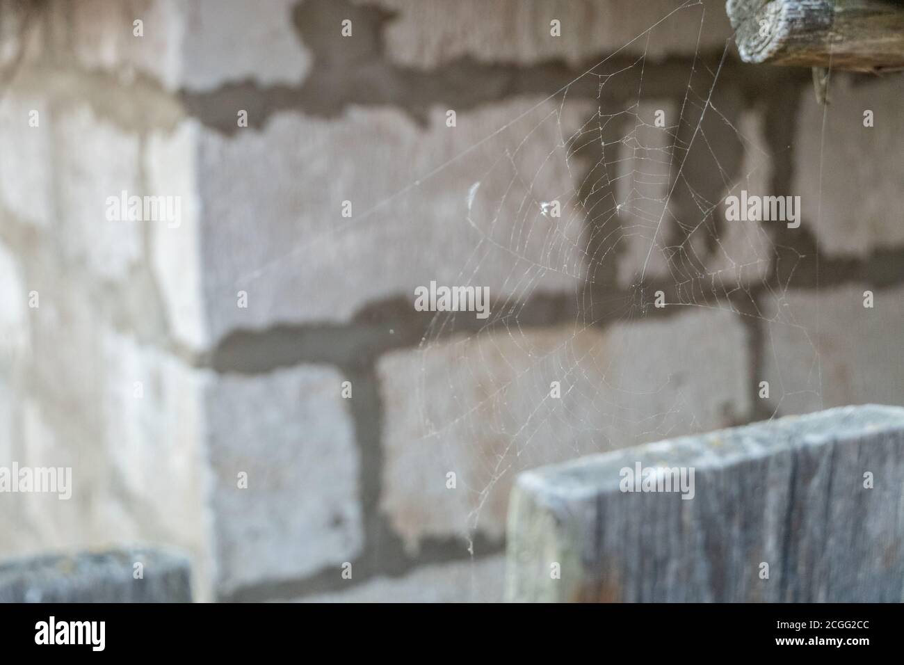 Cobweb on brick wall background. Can be used as a background Stock ...