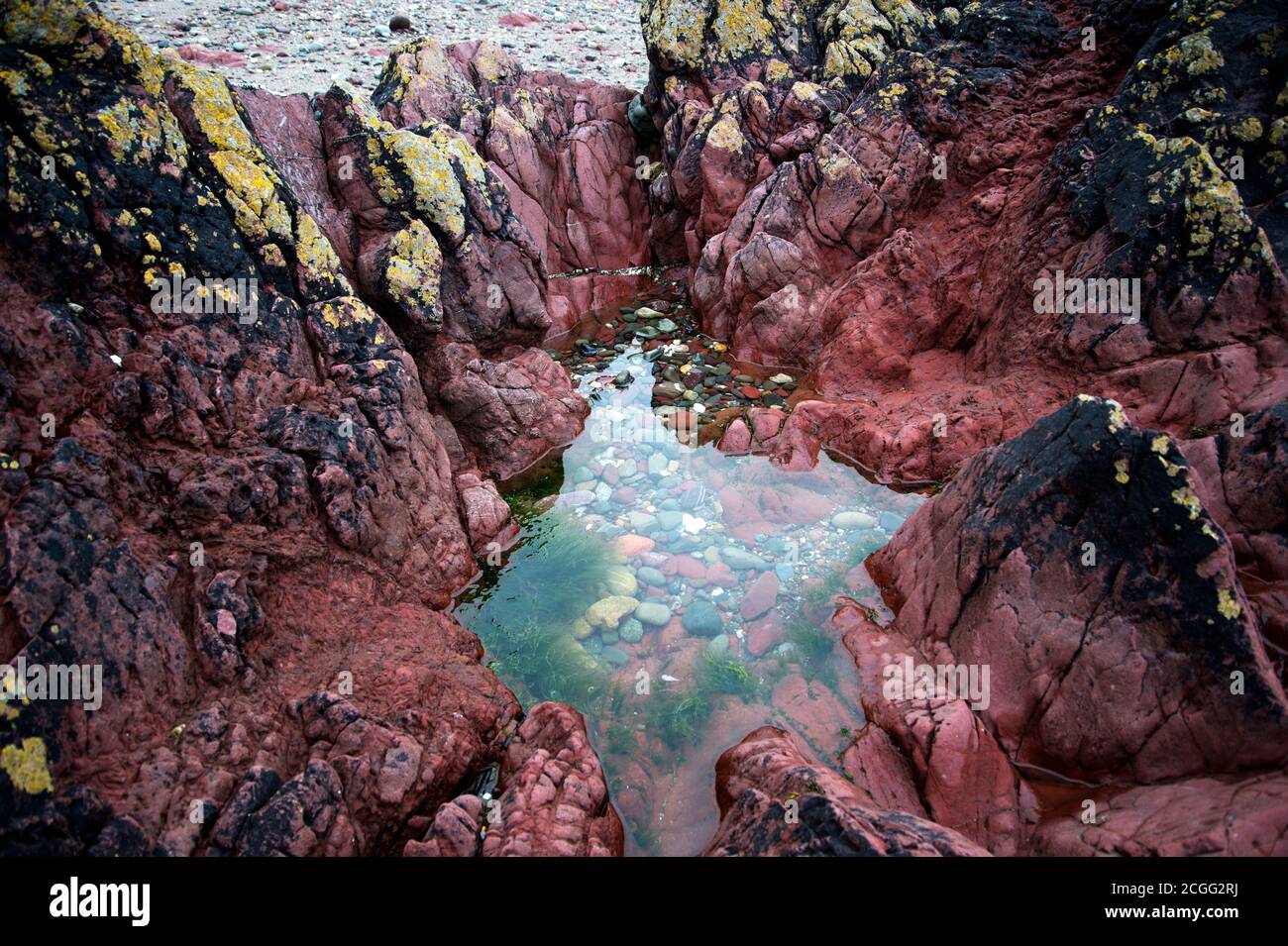 Rockpool beach hi-res stock photography and images - Alamy