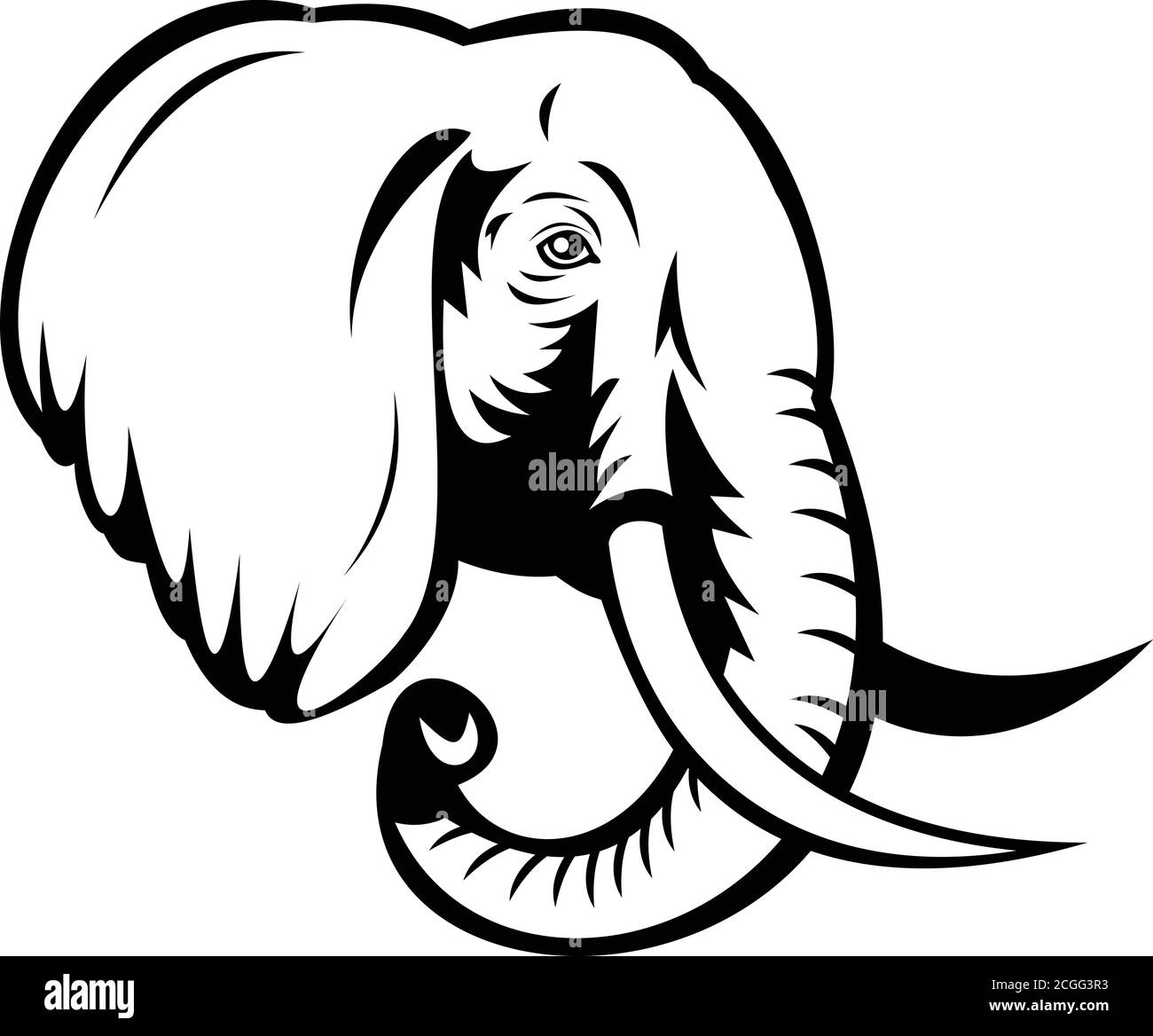 Stencil illustration of head of an African Elephant, Loxodonta, African ...