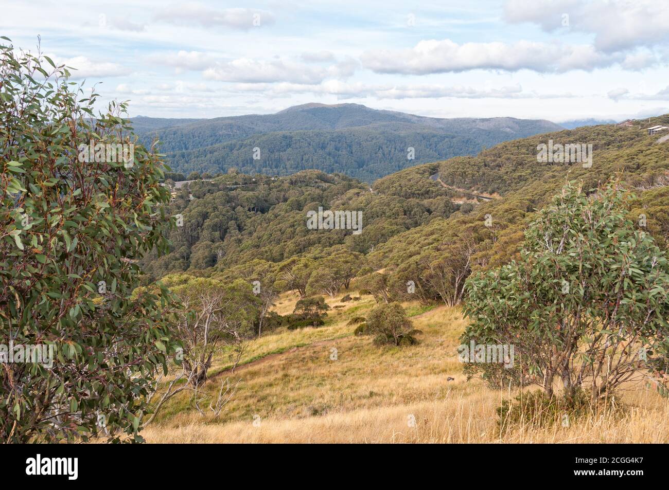 Victorian alps hi-res stock photography and images - Alamy