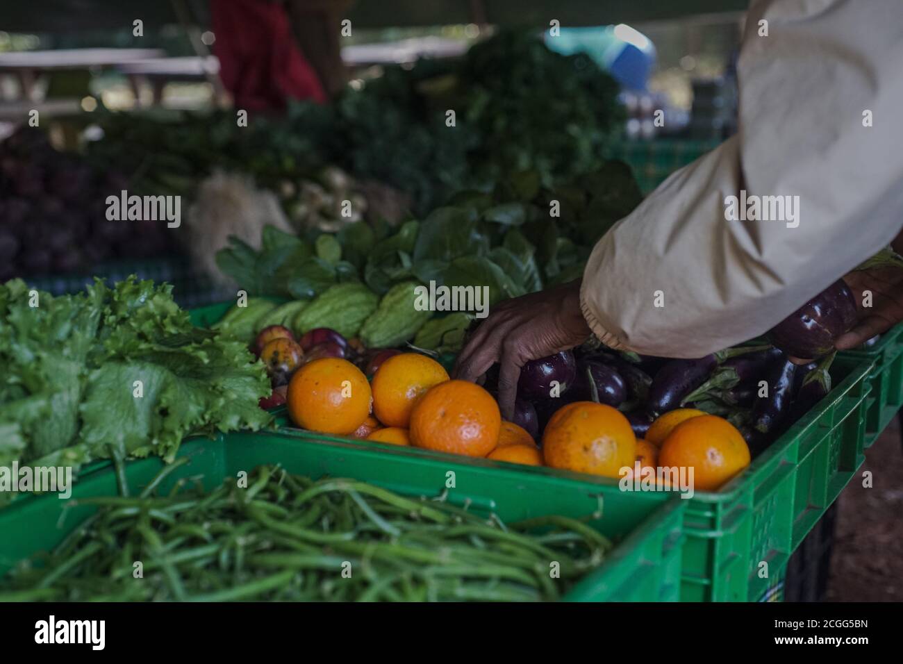 organic food - organic produce Stock Photo - Alamy