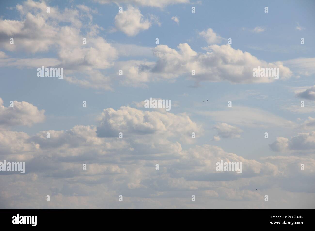 Cumulonimbus clouds low level hi-res stock photography and images - Alamy