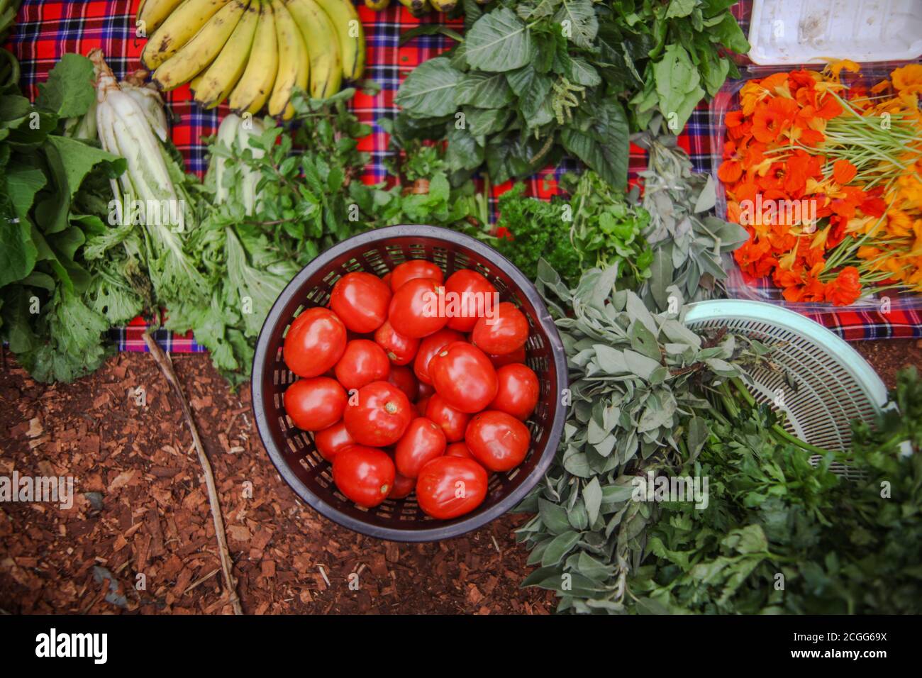 organic food - organic produce Stock Photo - Alamy