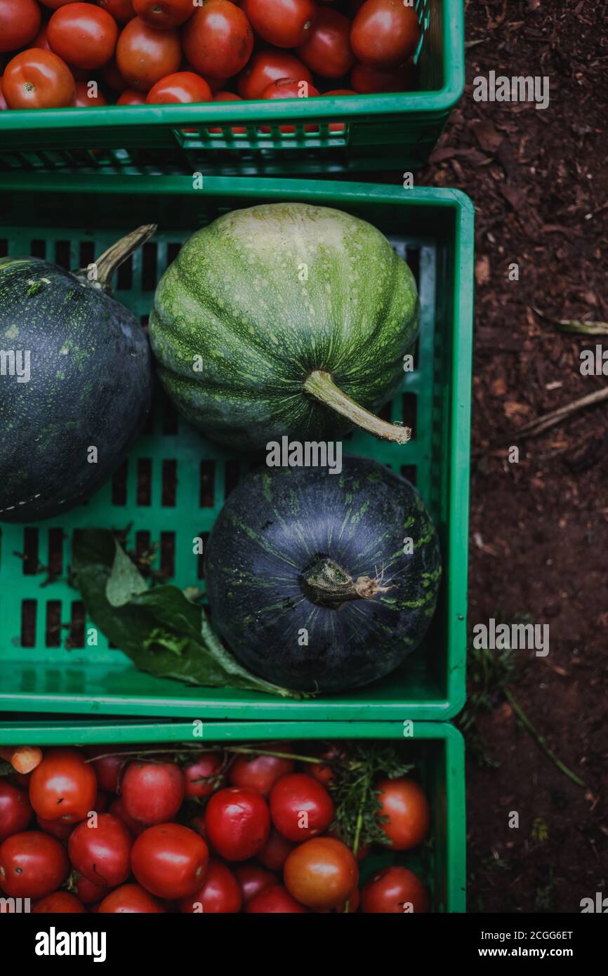organic food - organic produce Stock Photo - Alamy