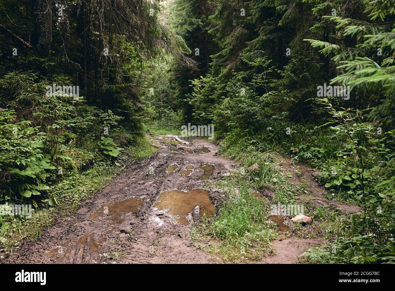 Mud rain hi-res stock photography and images - Alamy