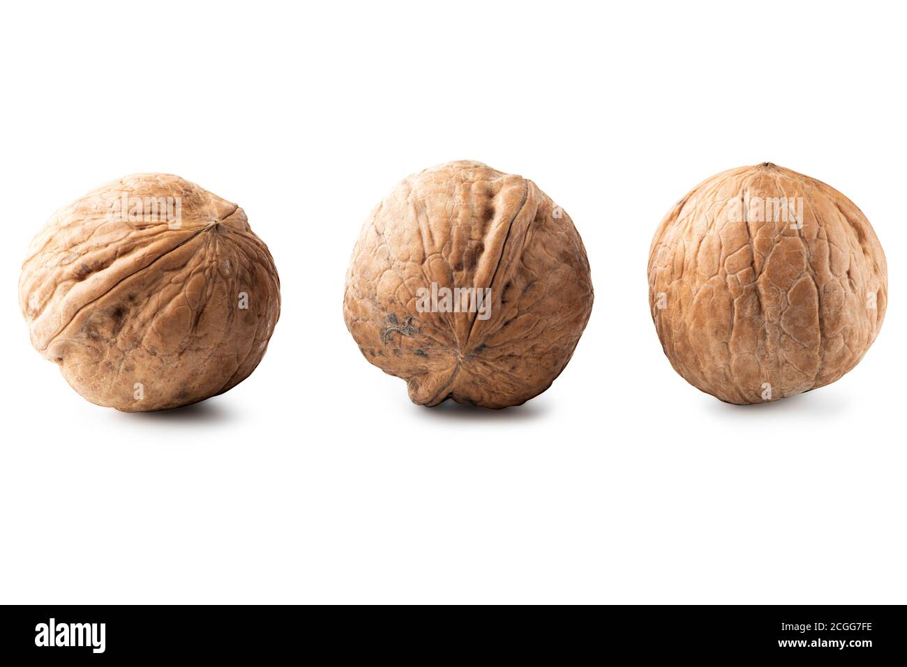 Three walnuts isolated on white background. Clipping Path Stock Photo ...