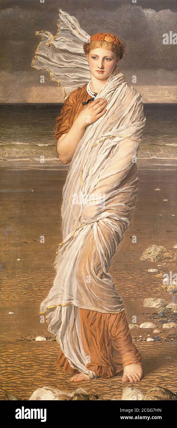 Moore Albert Joseph - Shells - British School - 19th Century Stock ...