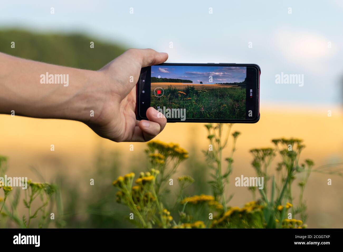 Hand holding phone landscape hi-res stock photography and images - Alamy