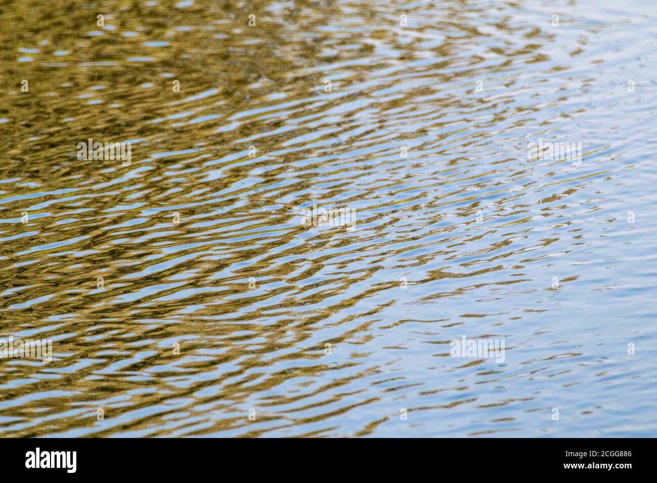 Blue gold rippled gradient hi-res stock photography and images - Alamy